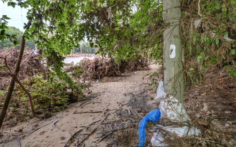 Did Hurricane Helene Really Destroy One-Third of the Appalachian Trail?