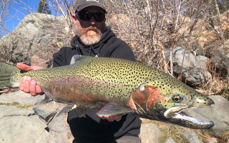 How Rock Singer Chuck Ragan Pursues Fly-Fishing While on Tour