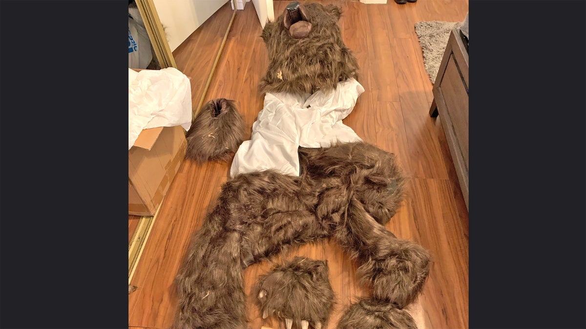 This Insurance-Fraud Scheme Involves a Bear