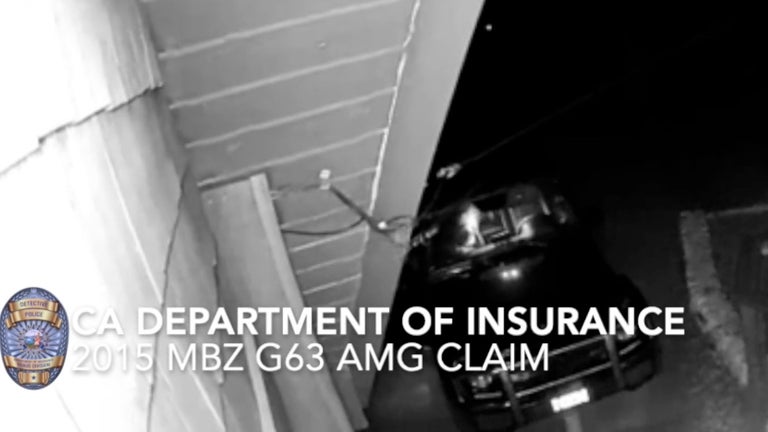 This Insurance-Fraud Scheme Involves a Bear