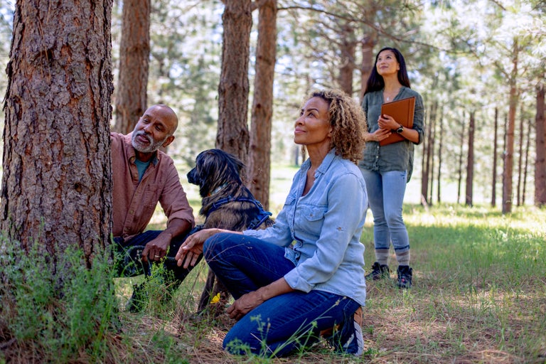Forest Burials Offer a Green, Meaningful Way to Rest in Peace