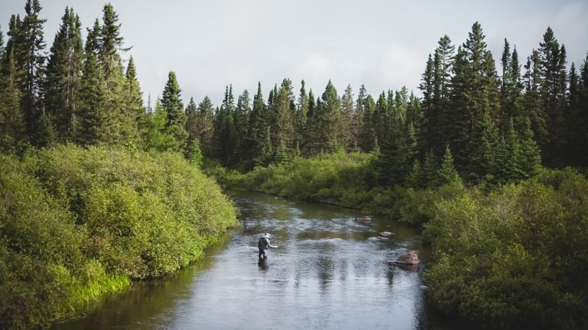 Trail Karma: Echo Trail