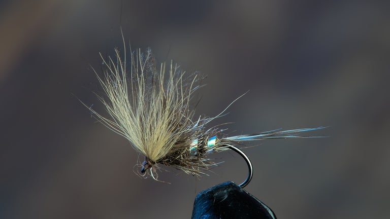 Learn the Craft of Fly-Fishing
