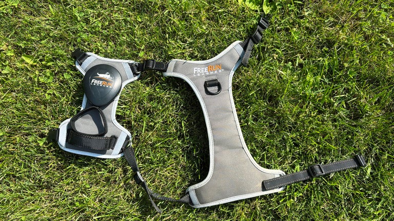 Best Leash for Running with Your Dog