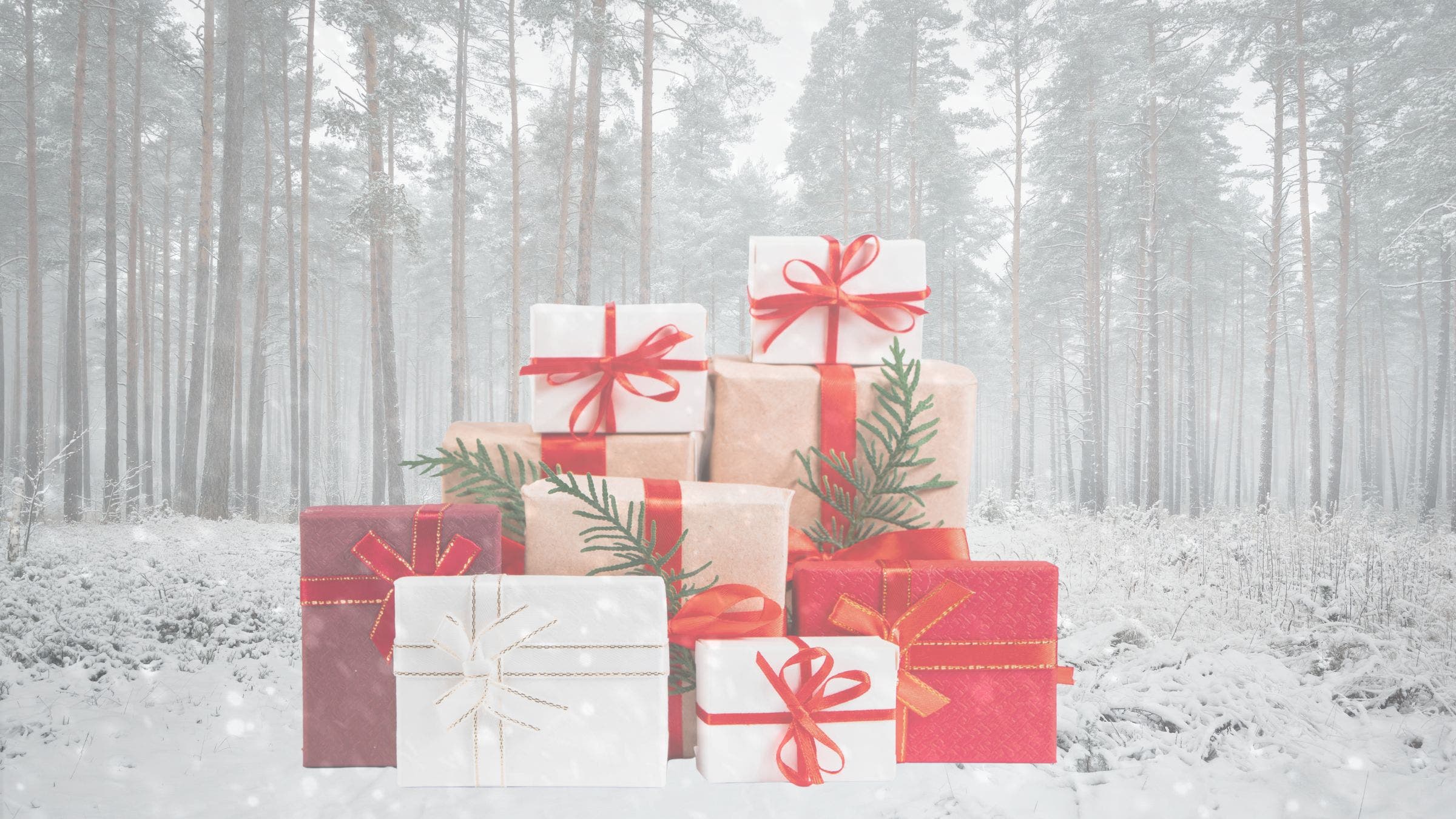 The Health, Fitness, and Wellness Gift Guide