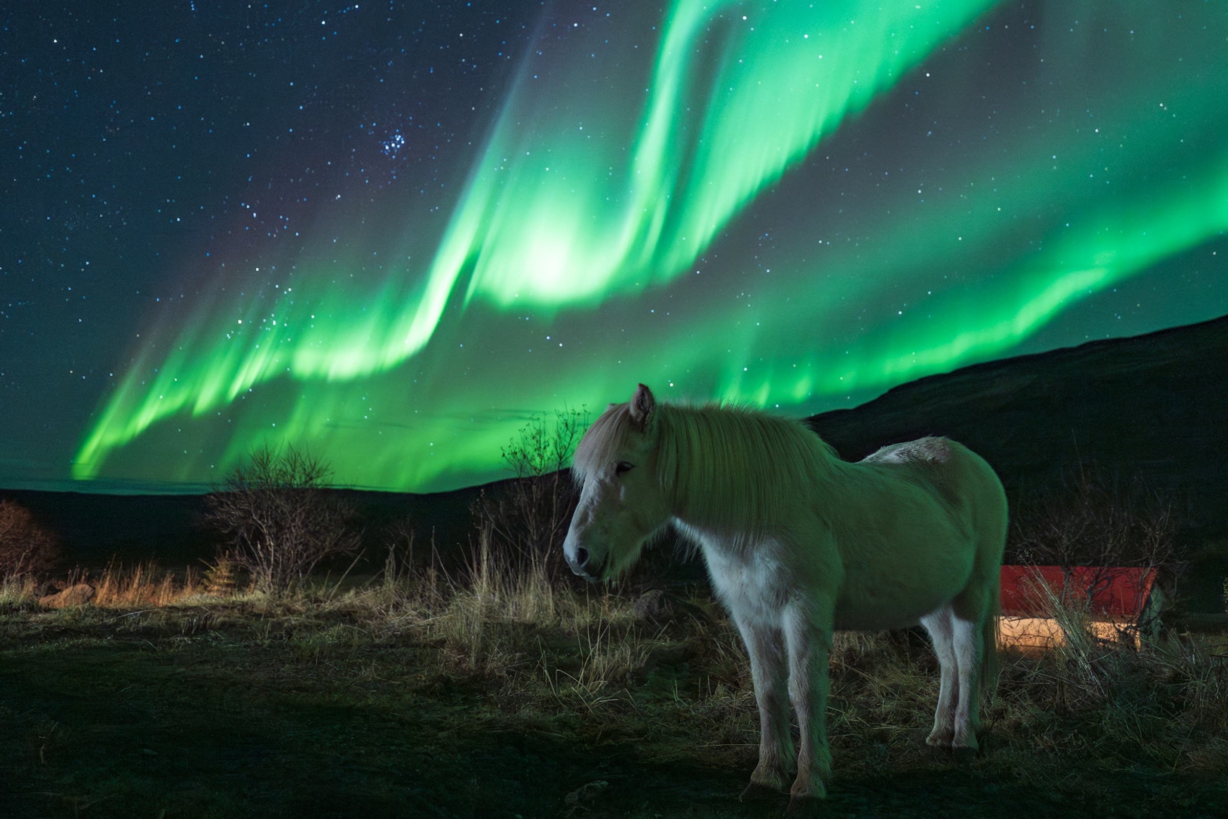 How to See the Northern Lights