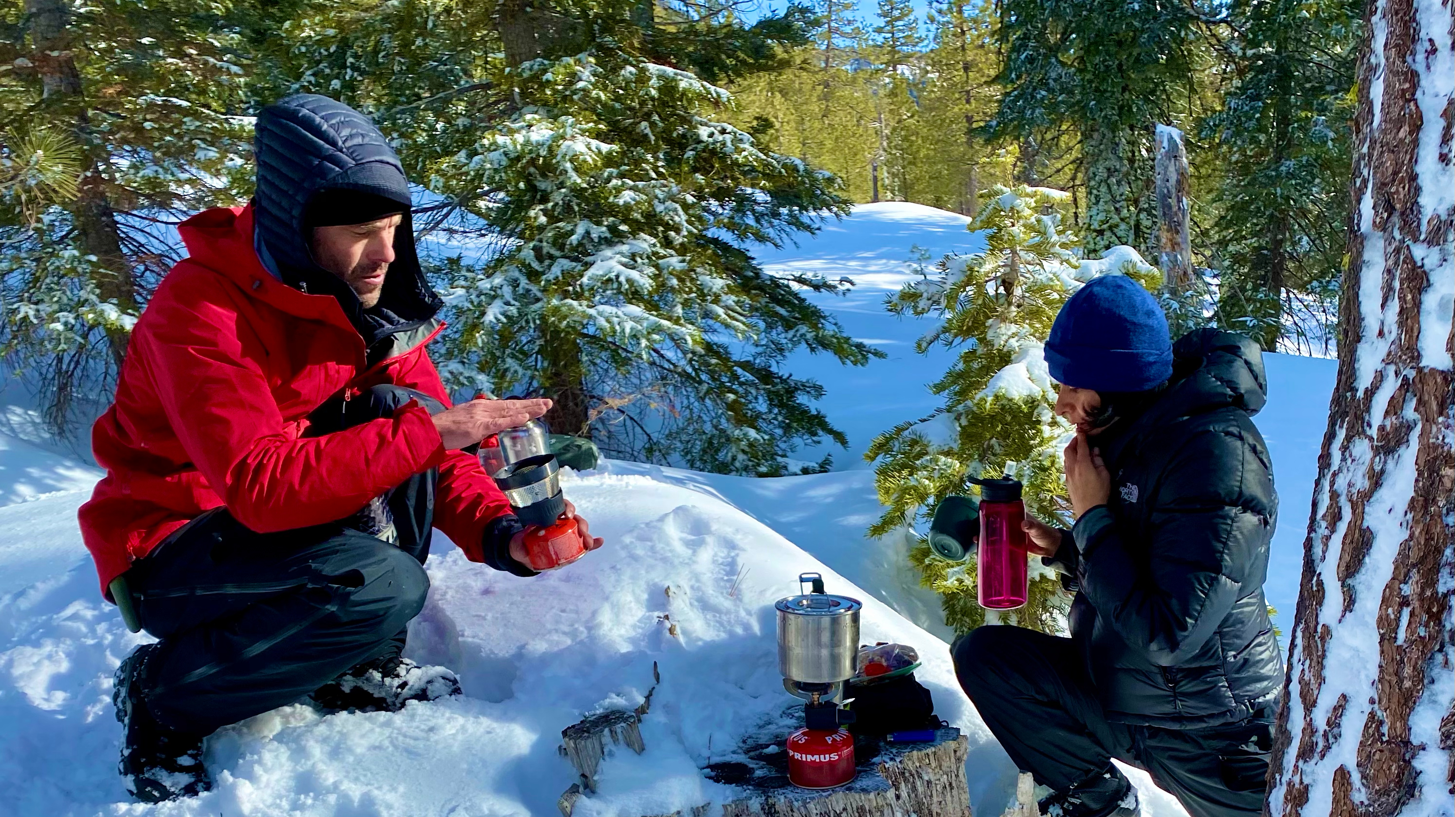 How to Survive a Blizzard: Expert Safety Tips