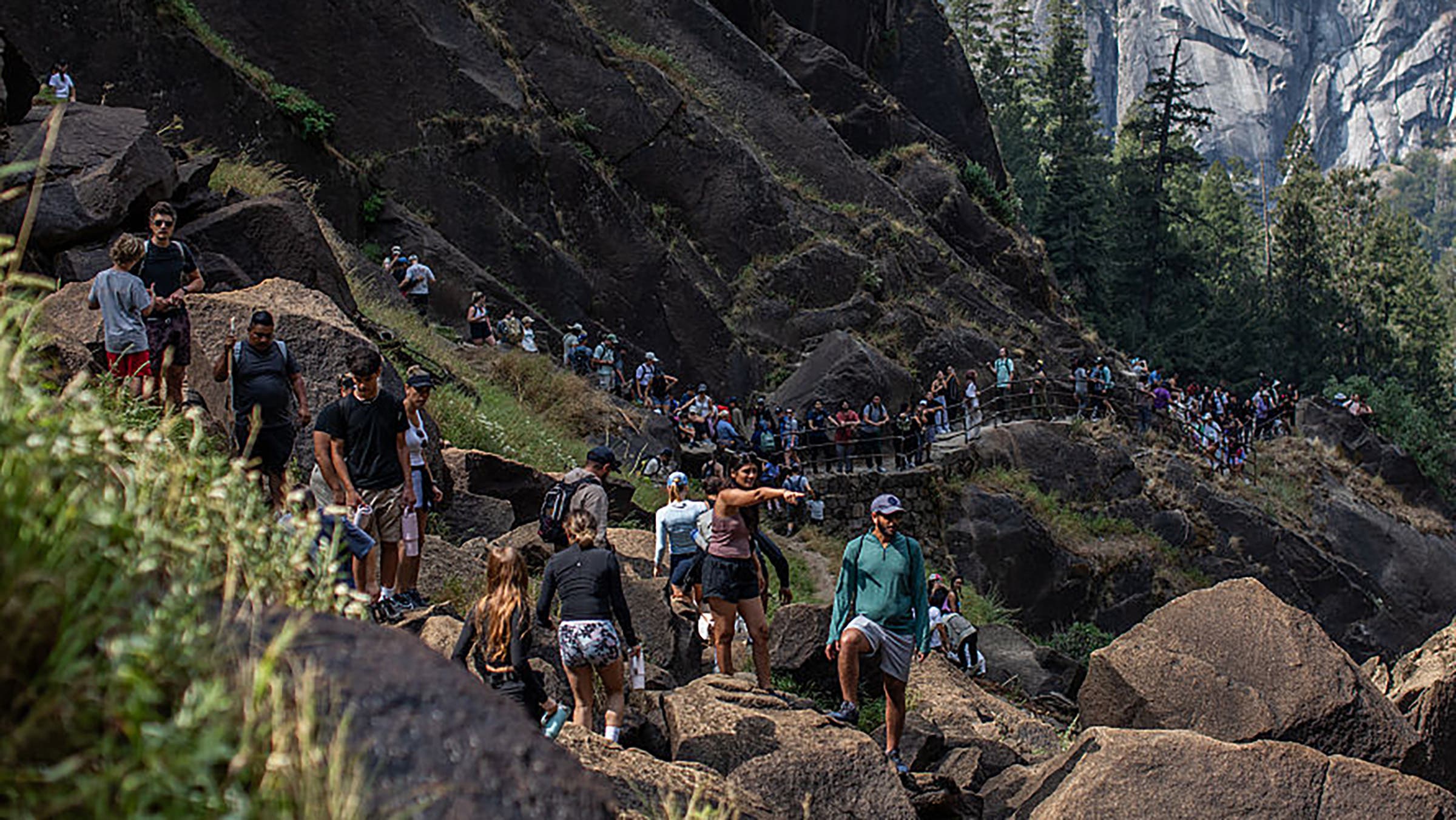 2026 Guide to National Park Timed-Entry Vehicle Requirements