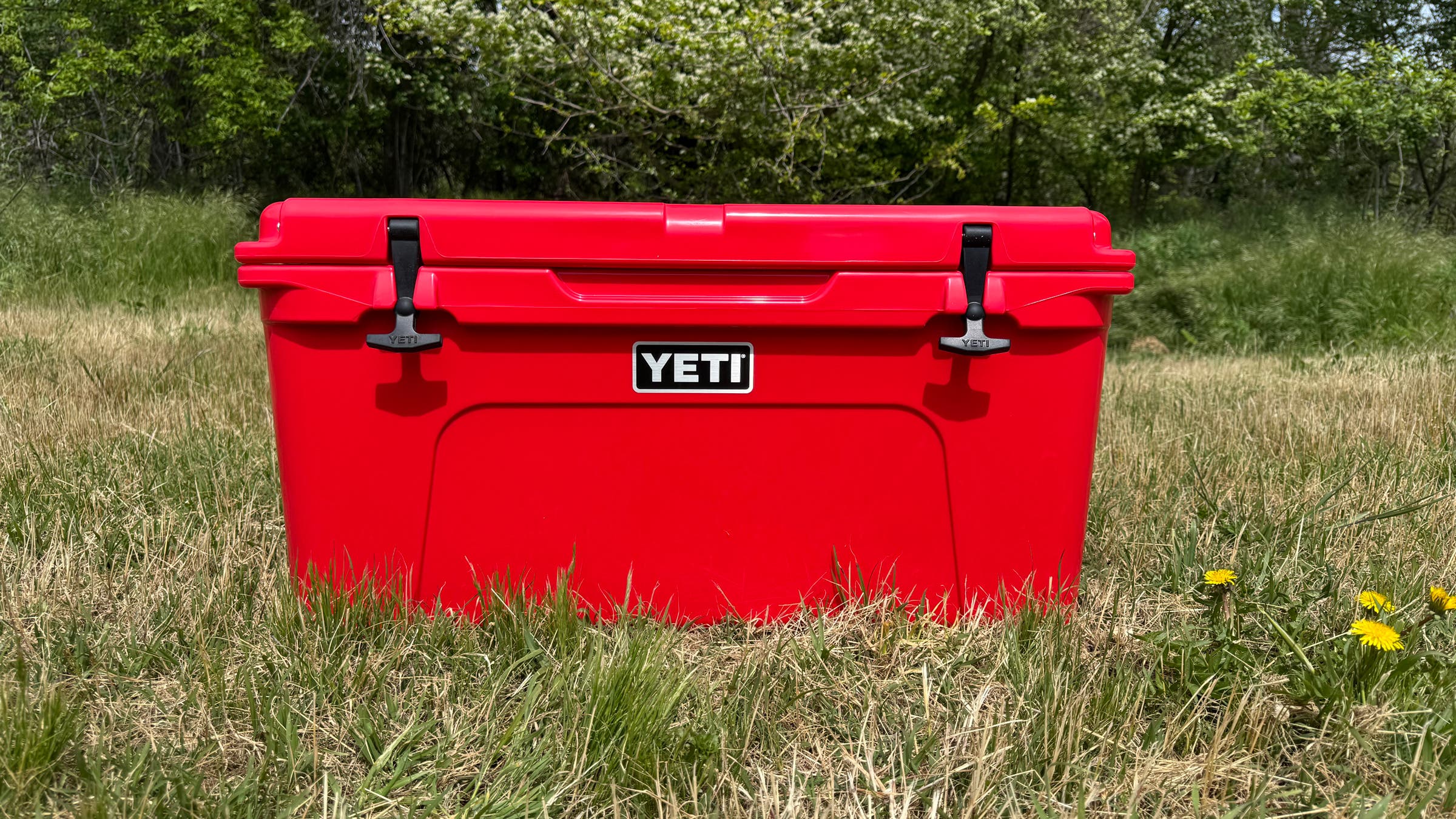 The 8 Best Coolers for Camping of 2026, Tested and Reviewed