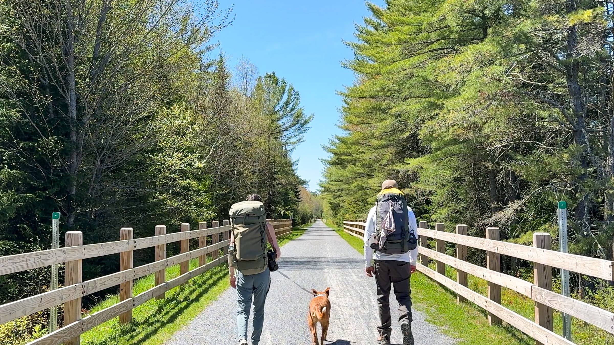 Adirondack Rail Trail Hiking Guide