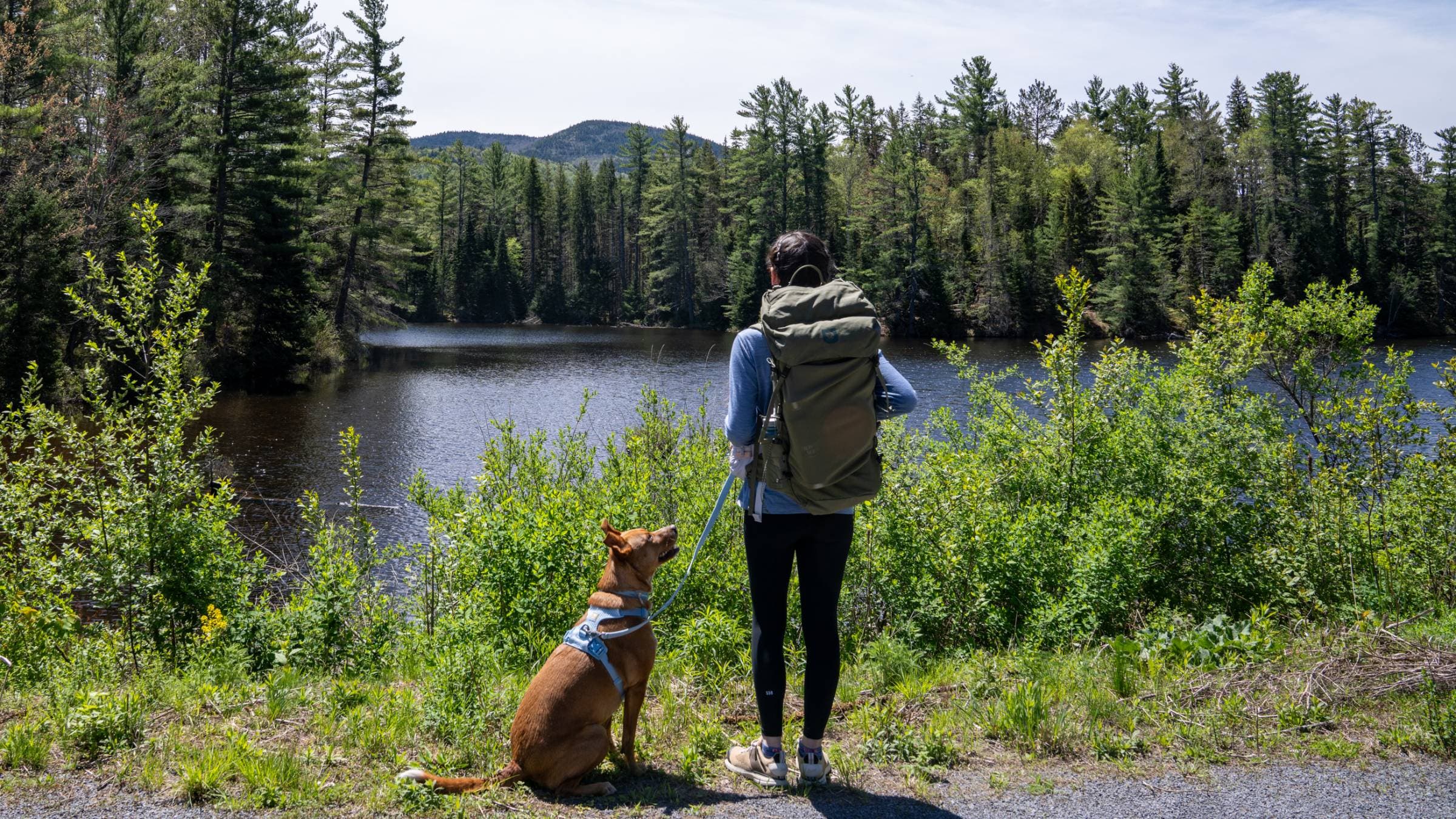 Adirondack Rail Trail Hiking Guide