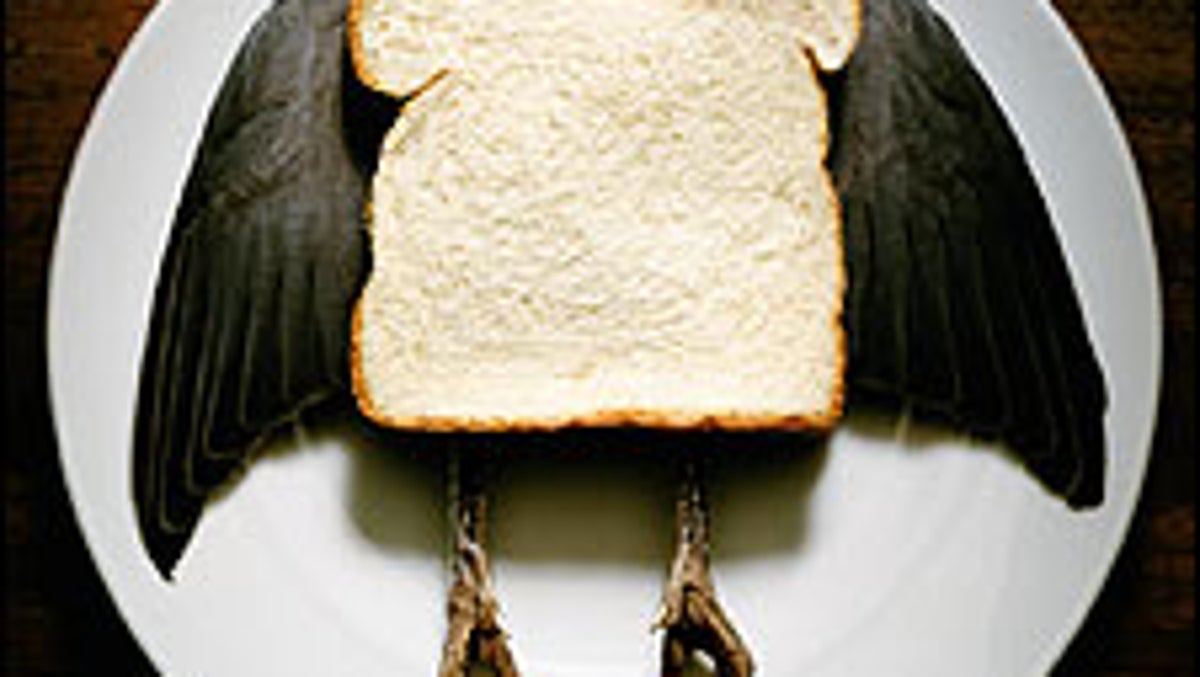 If You Are What You Eat, He's Dead Meat