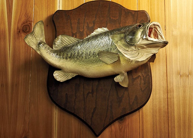 Big Fish, Little Ponds