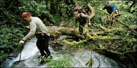 Welcome to the Jungle: Trekking Papua New Guinea’s Kapa Kapa Trail