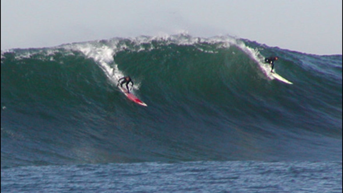 The Greatest Show on Surf