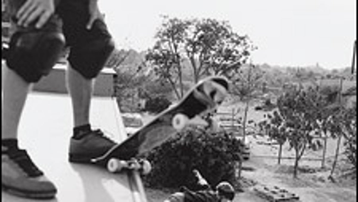 The Birdman Drops In