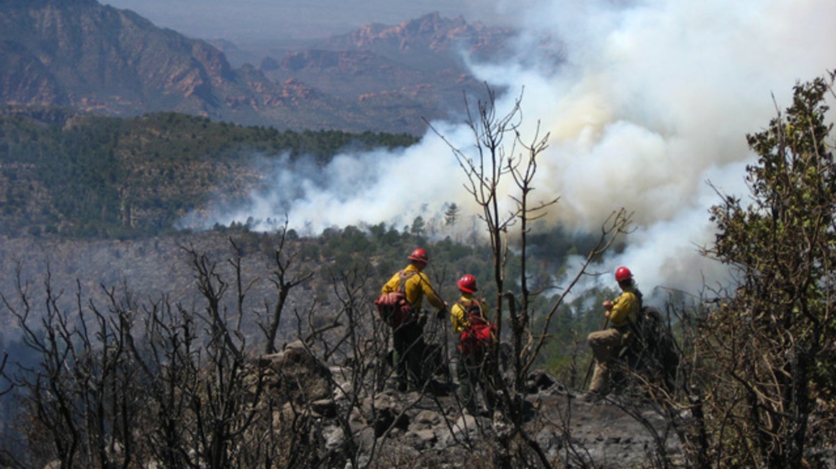 Death on the Firelines