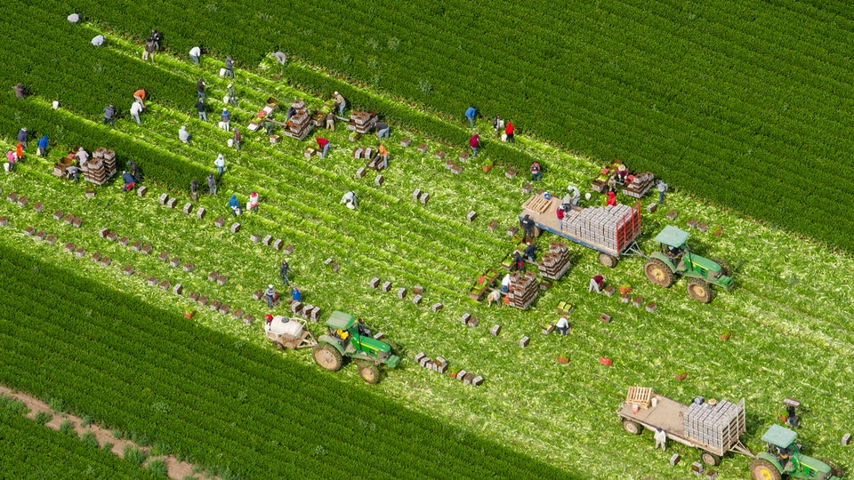 Bringing The Colorado River Back to Life - Outside Online