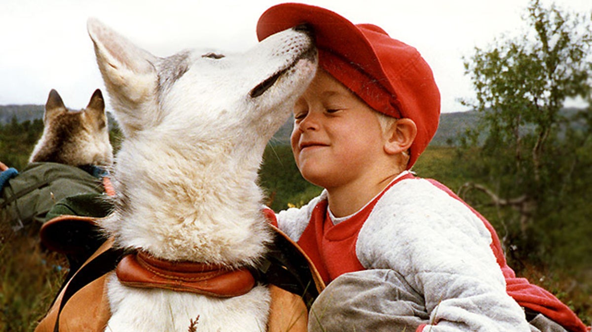 On What Makes a Good Dog