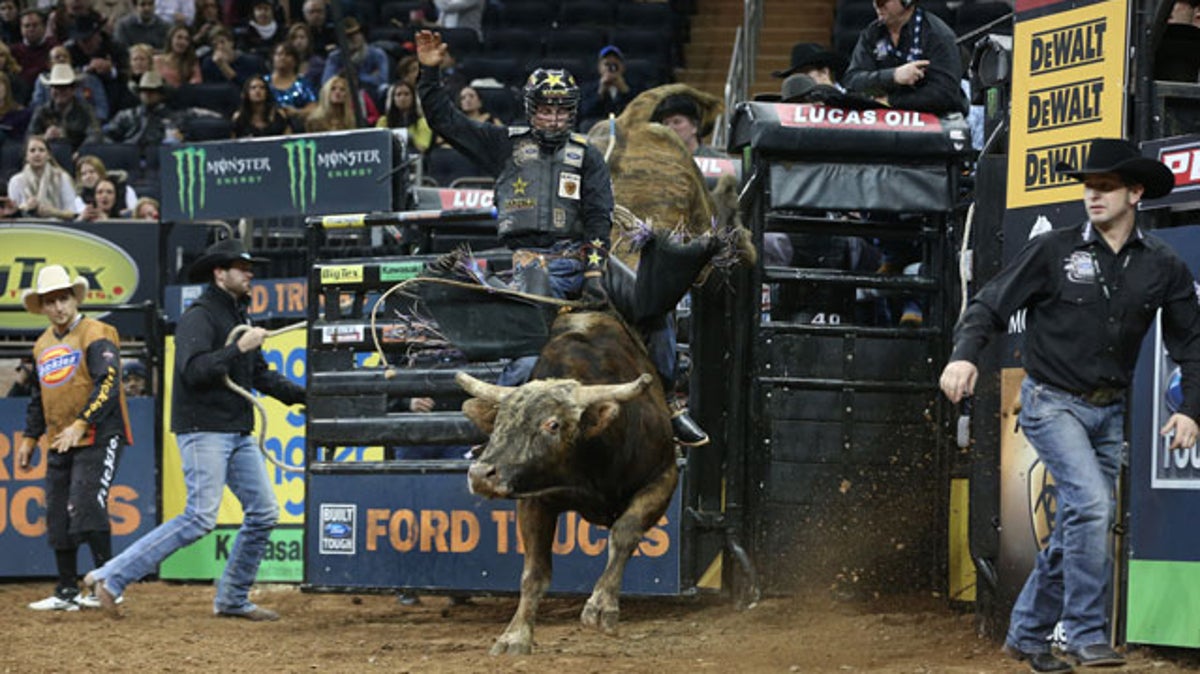 This Isn't Your Friend's Dad's Rodeo: Professional Bull Riding in Manhattan
