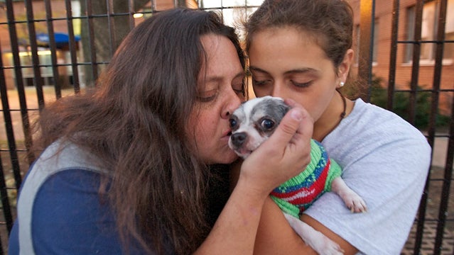 The Forgotten Ones: How 2 Dogs Managed to Survive Superstorm Sandy