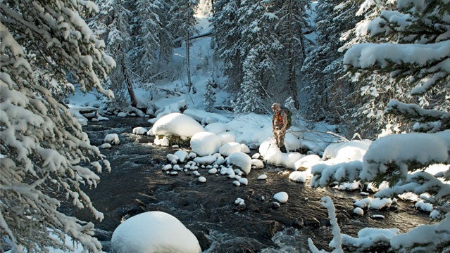 Hunting's Big Comeback