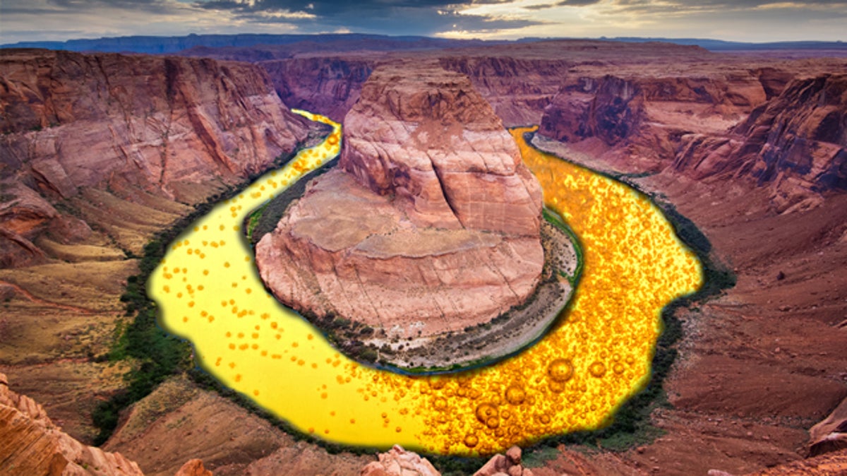 Can Beer Force Obama to Clean Up the Clean Water Act?