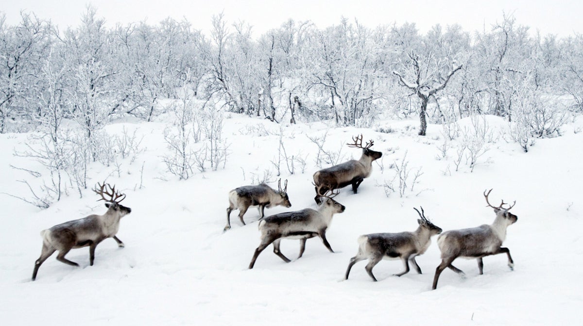 Turbo-Charge Your Winter - Outside Online