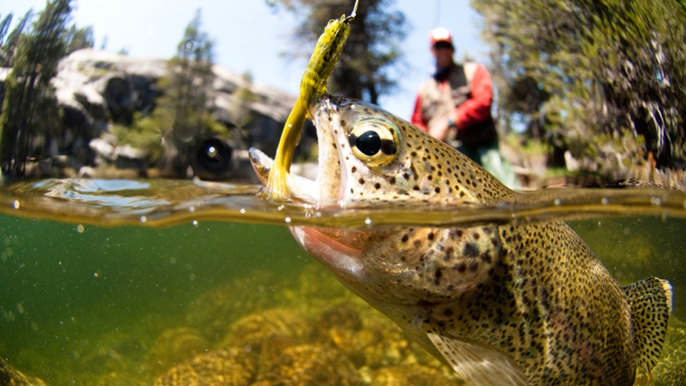 High-Tech Fishing Gear