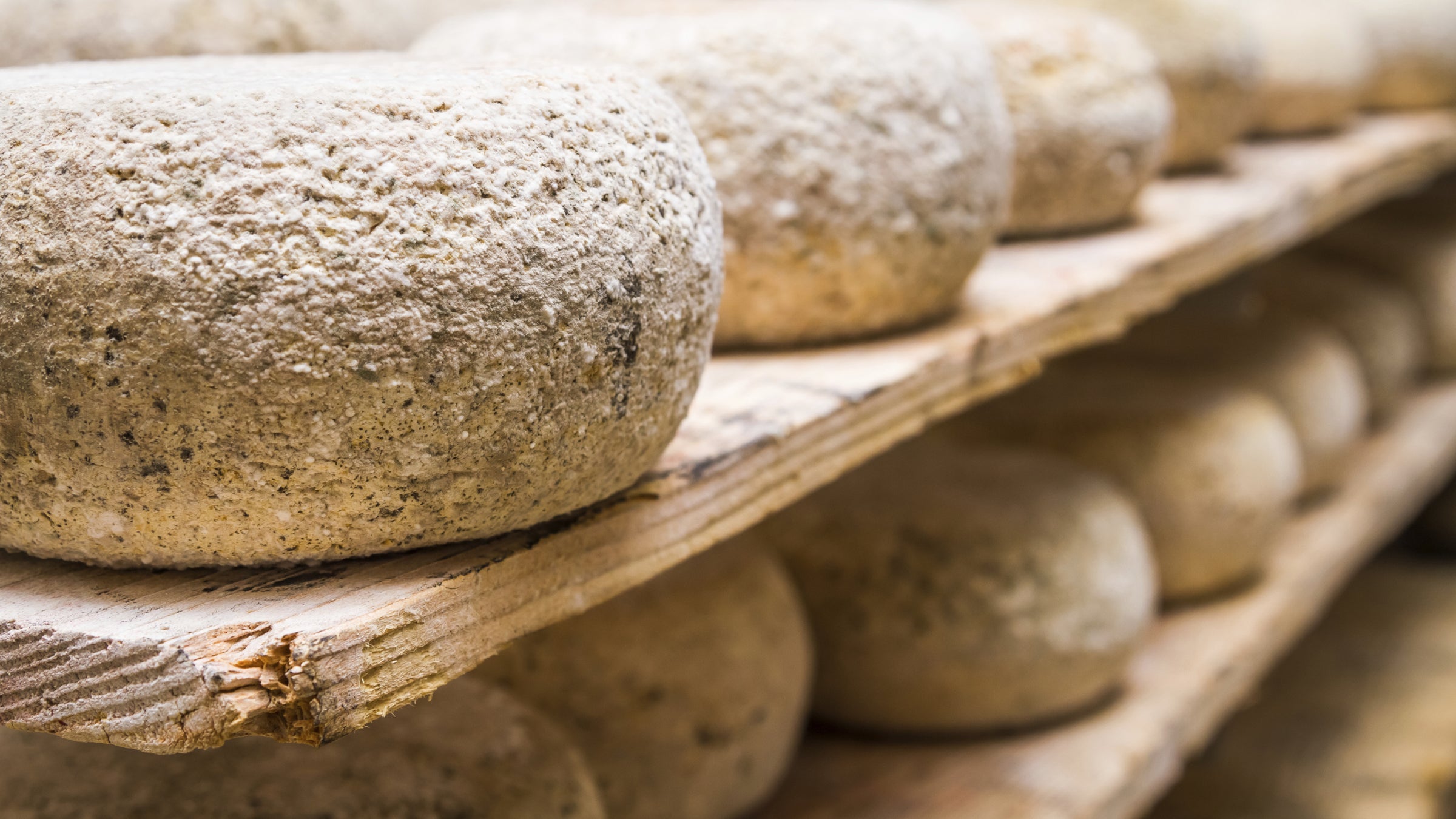 The FDA Is Coming for Your Cheese