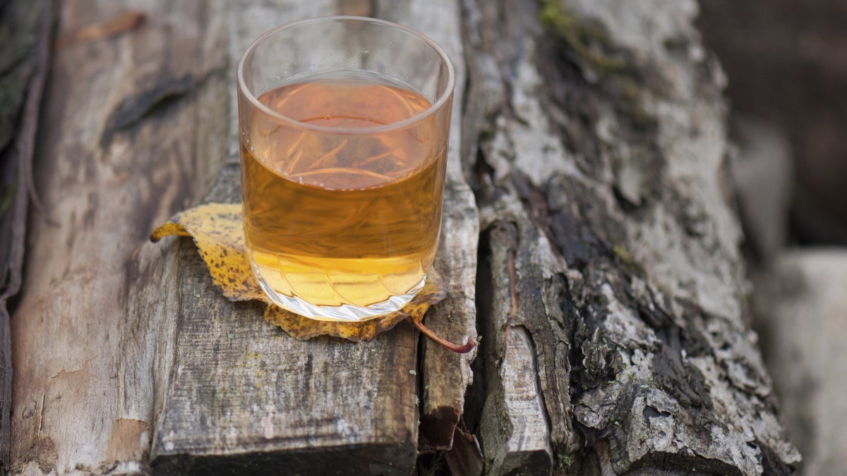 The Inside Scoop on Cider