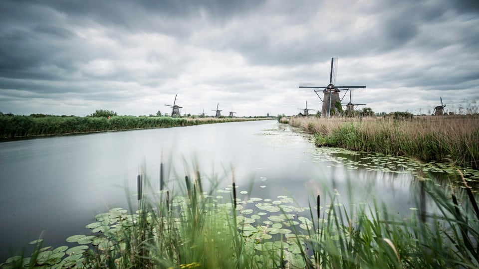 How Green Is My Polder