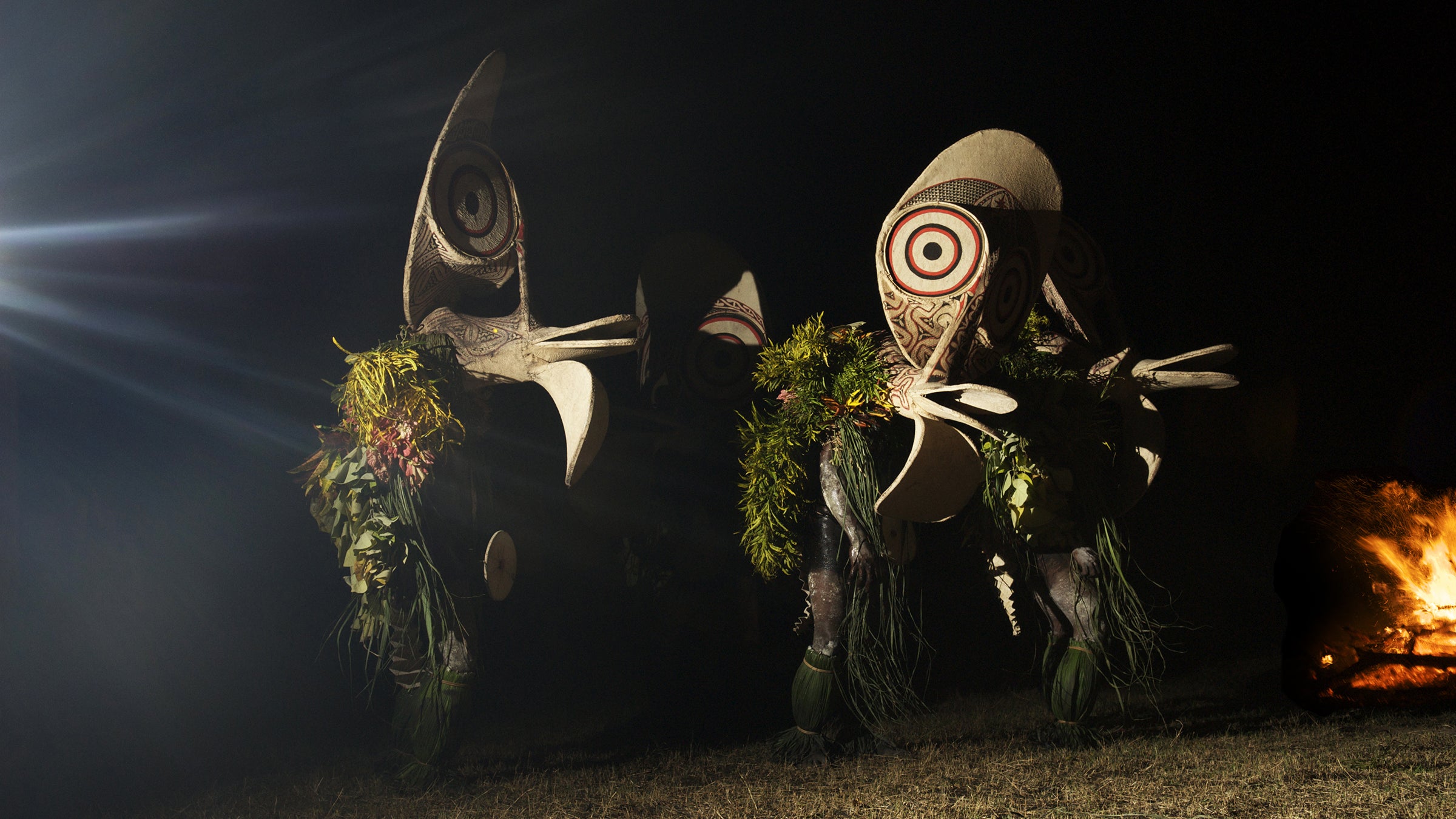 The Mysterious Disappearance of Michael Rockefeller