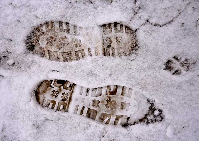 What can trackers tell from footprints?