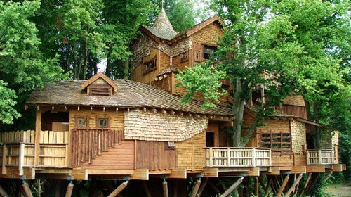 world's coolest treehouse
