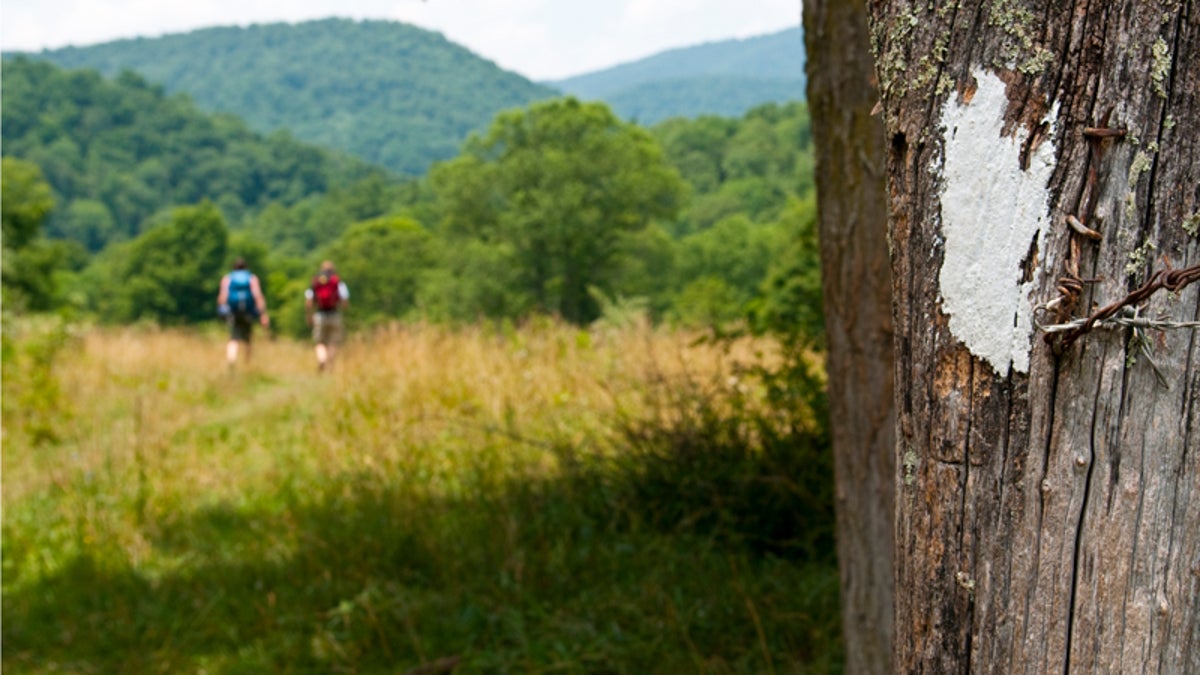 What are the Best Section-hikes in the Middle of the Appalachian Trail?