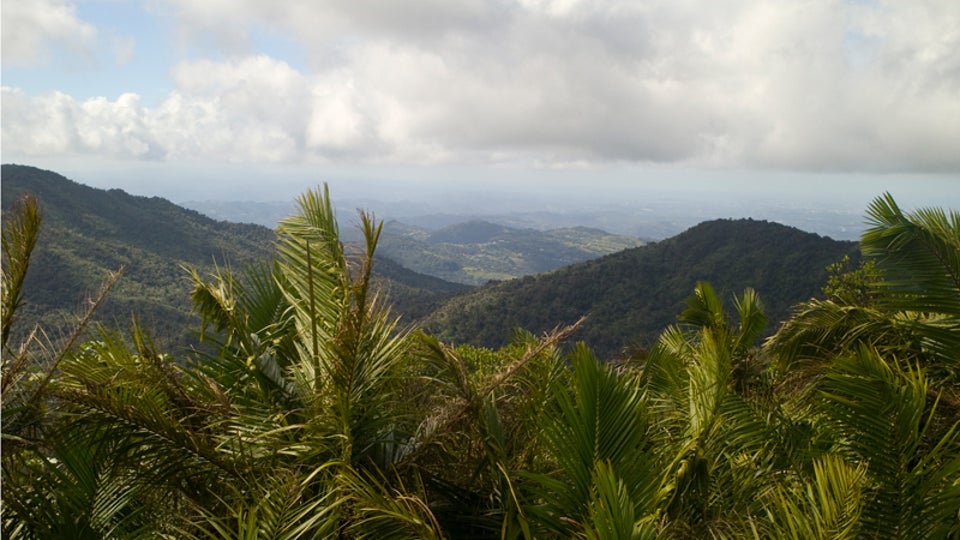 What Are Puerto Rico's Best Outdoor Activities?