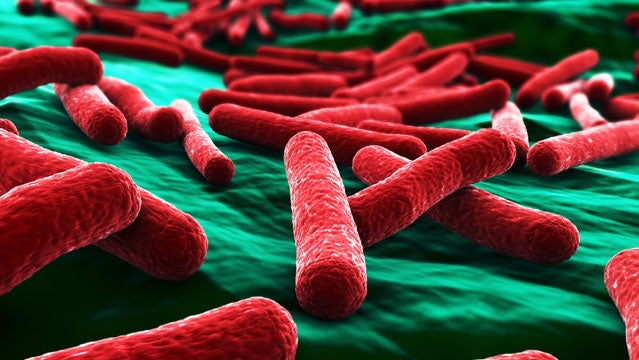 Is a Bacterial Infection Causing My Back Pain?