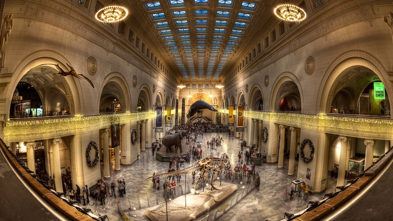 What Are the Best Natural History Museums?