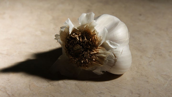 Garlic Fights Bacteria