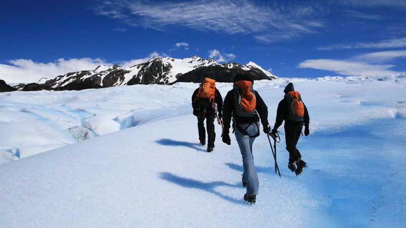 1,500-Year-Old Moss Revived