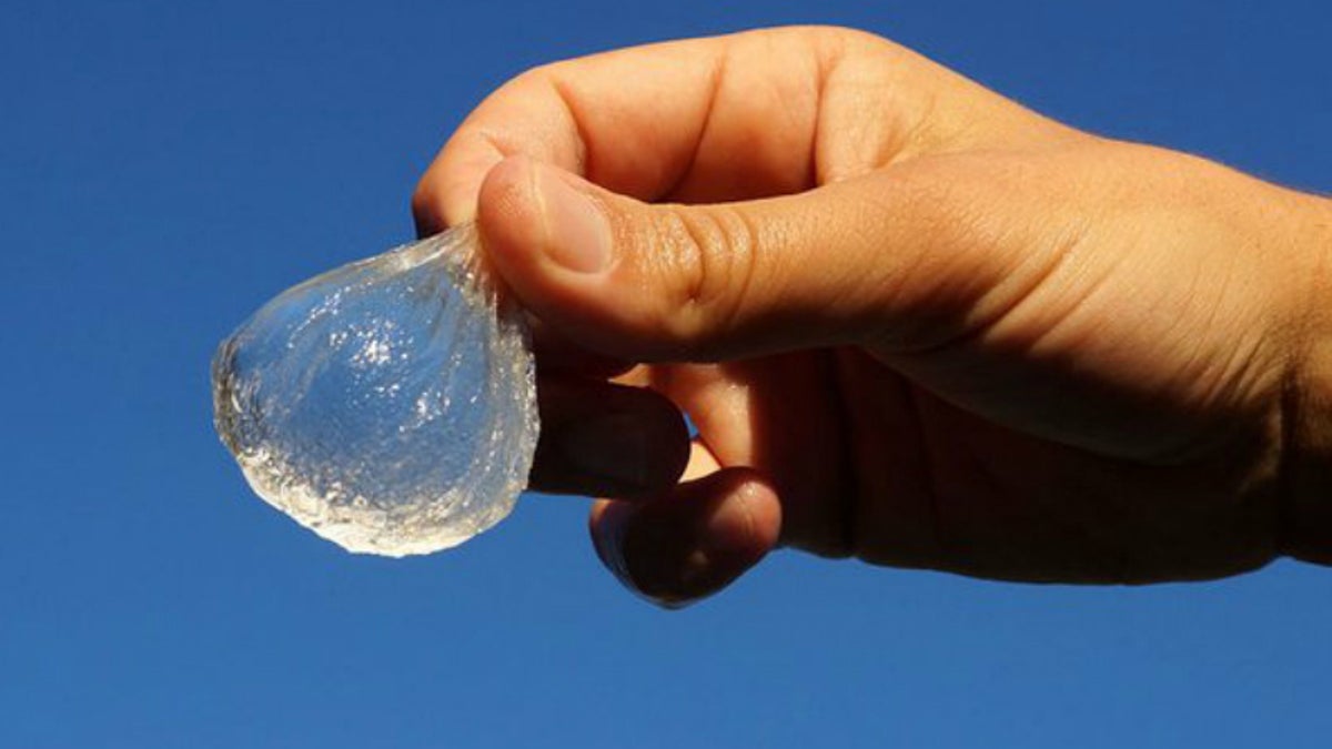 Can an Edible Water Bottle Save the Planet?