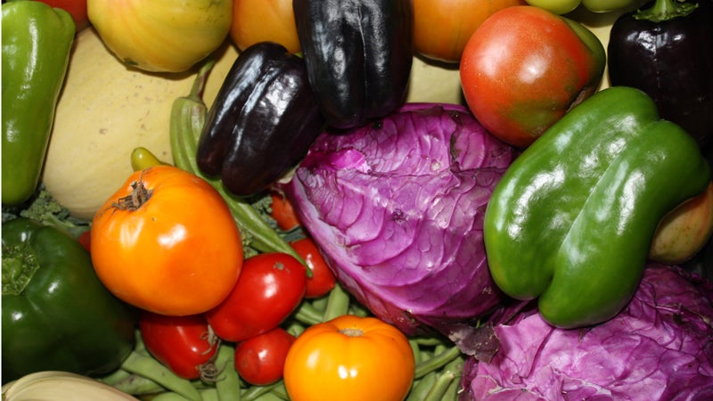 This Supermarket Runs on Rotting Food