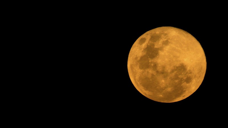 Double Whammy: Full Moon and Friday the 13th