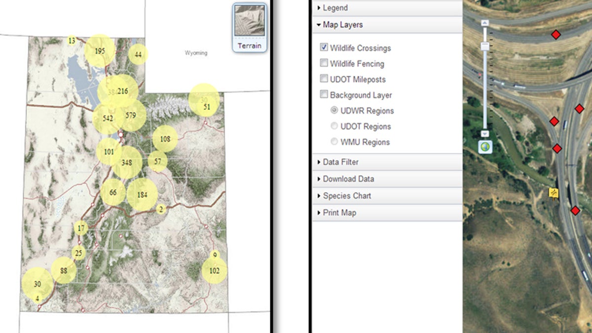New App Geotags Roadkill
