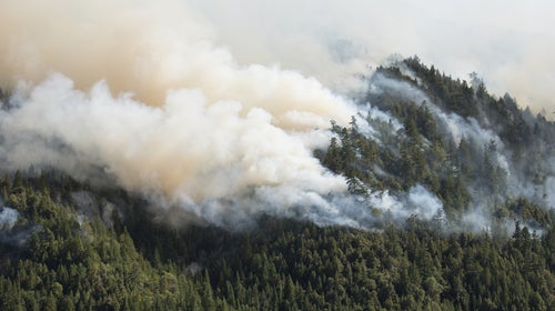 Forest Service Reopens Areas Affected by King Fire