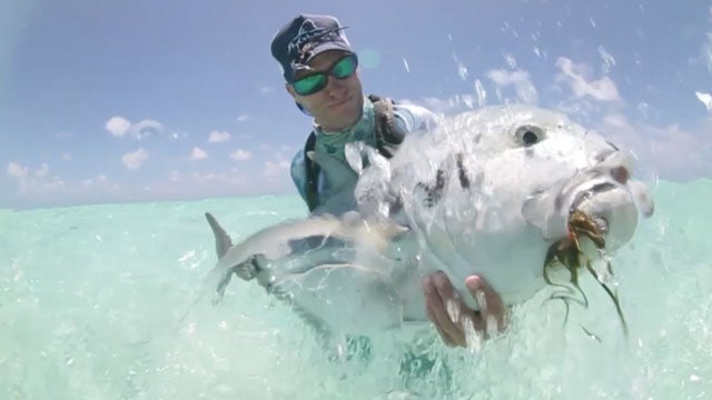 Waypoints Trailer Outside Online