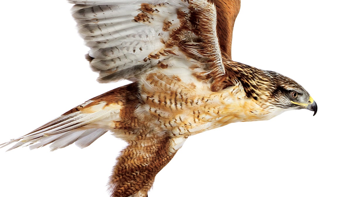 See It Their Way: Lessons in Adventure Photography