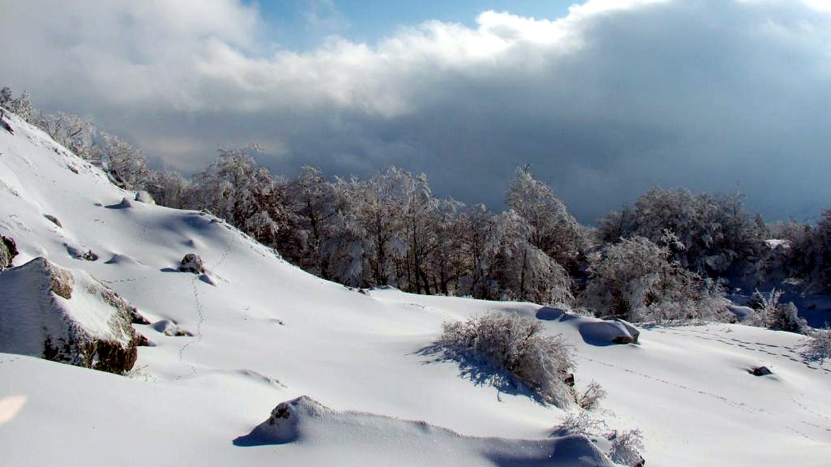 Italy Sees Possible Record of 24-Hour Snowfall
